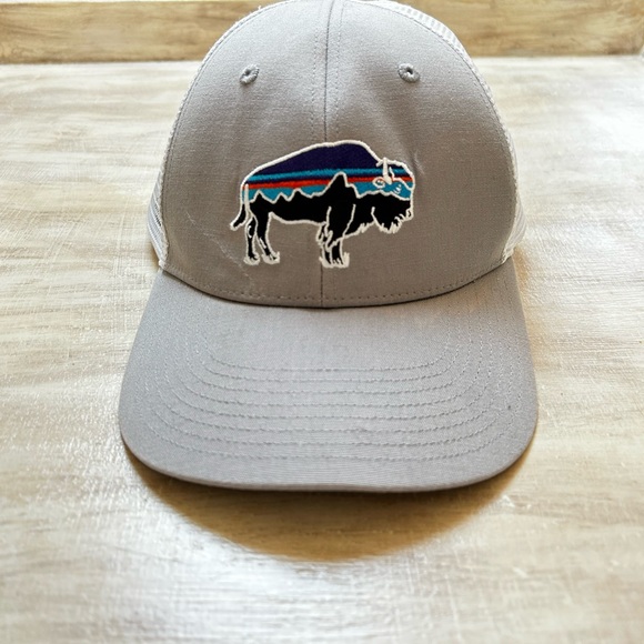 Patagonia | Accessories | Patagonia Fitz Roy Bison Buffalo Graywhite ...